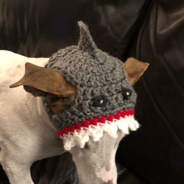 Cat Shark Hat - Etsy