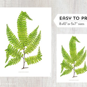 Fern Vintage Art Print Posters Set of 3 Digital Download - Etsy