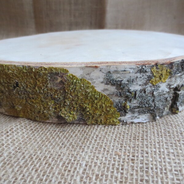 Large Wood Slices - Etsy