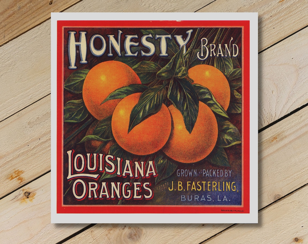 Vintage Honesty Orange Print: Antique Fruit Label Reproduction - Etsy