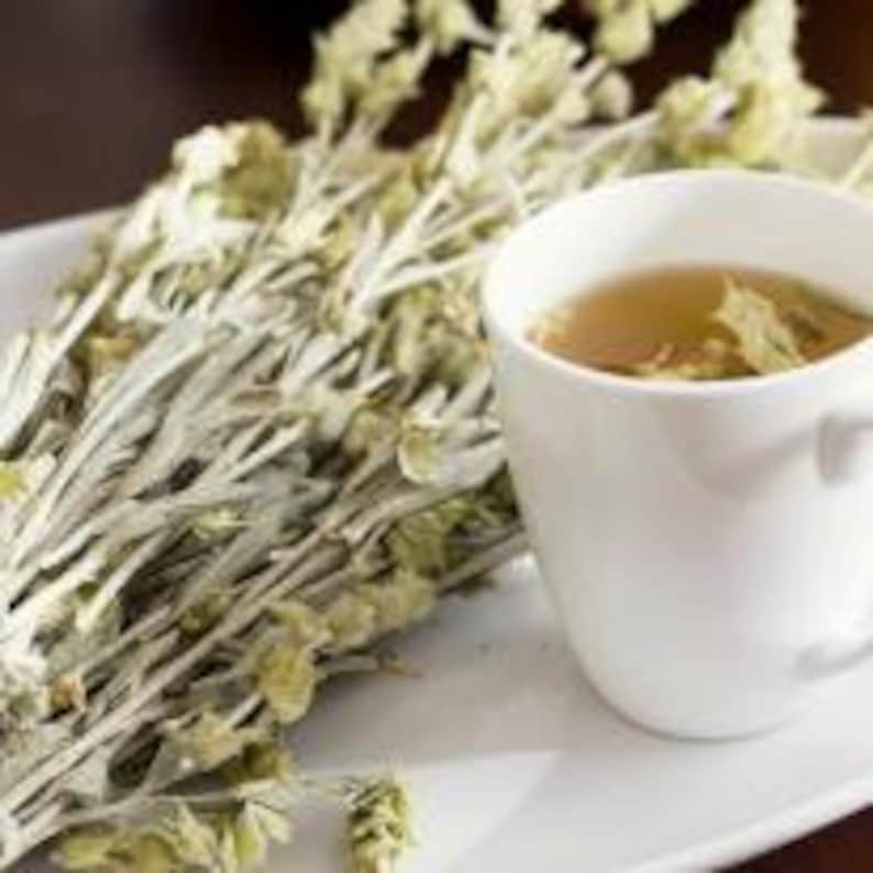 Greek Mountain Tea Sideritis Ironwort Shepherd's Herbal - Etsy