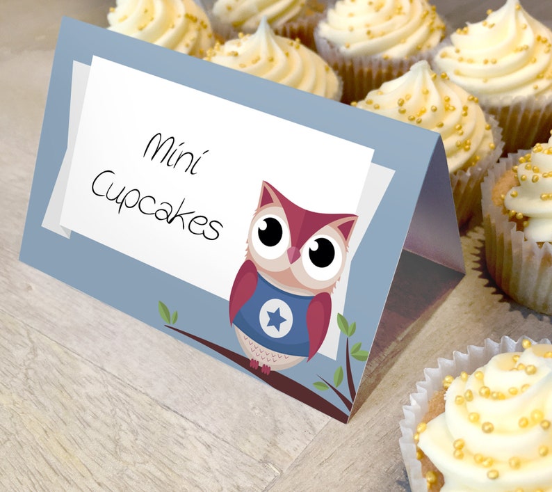 Woodland Party Decorations Owl Welcome Sign and This Way - Etsy