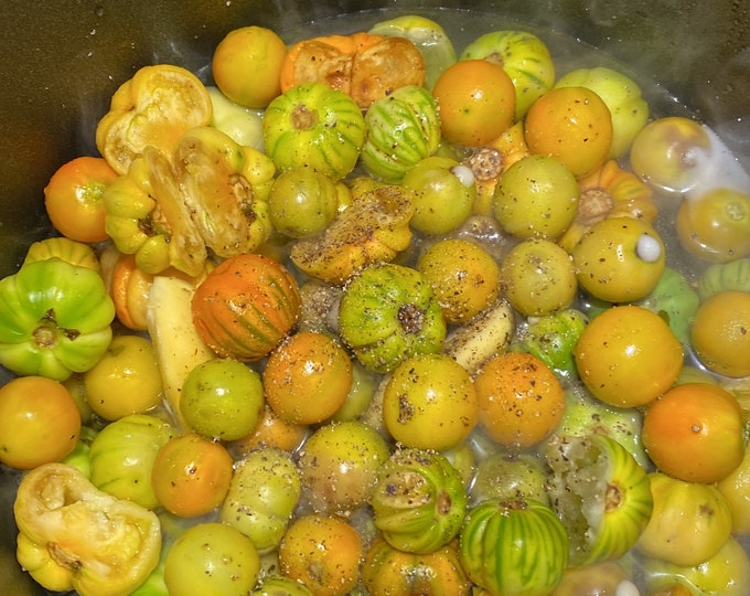 Mixed African Eggplant Seeds, Garden Eggs, Bitter Balls. Solanum ...