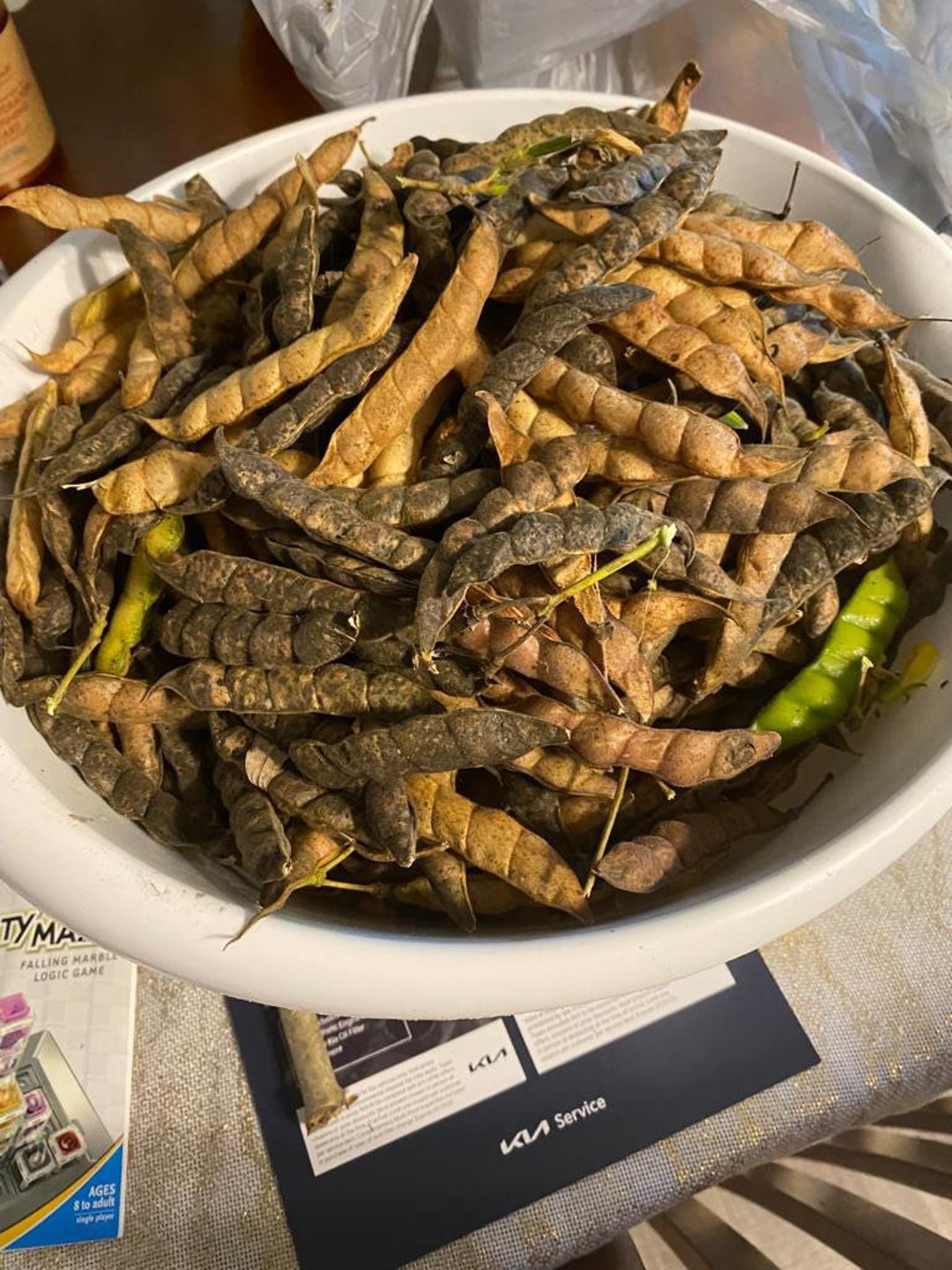 Pigeon Peas Seeds, Seedsgandúl – Cajanus Cajan, 50 Seeds - Etsy