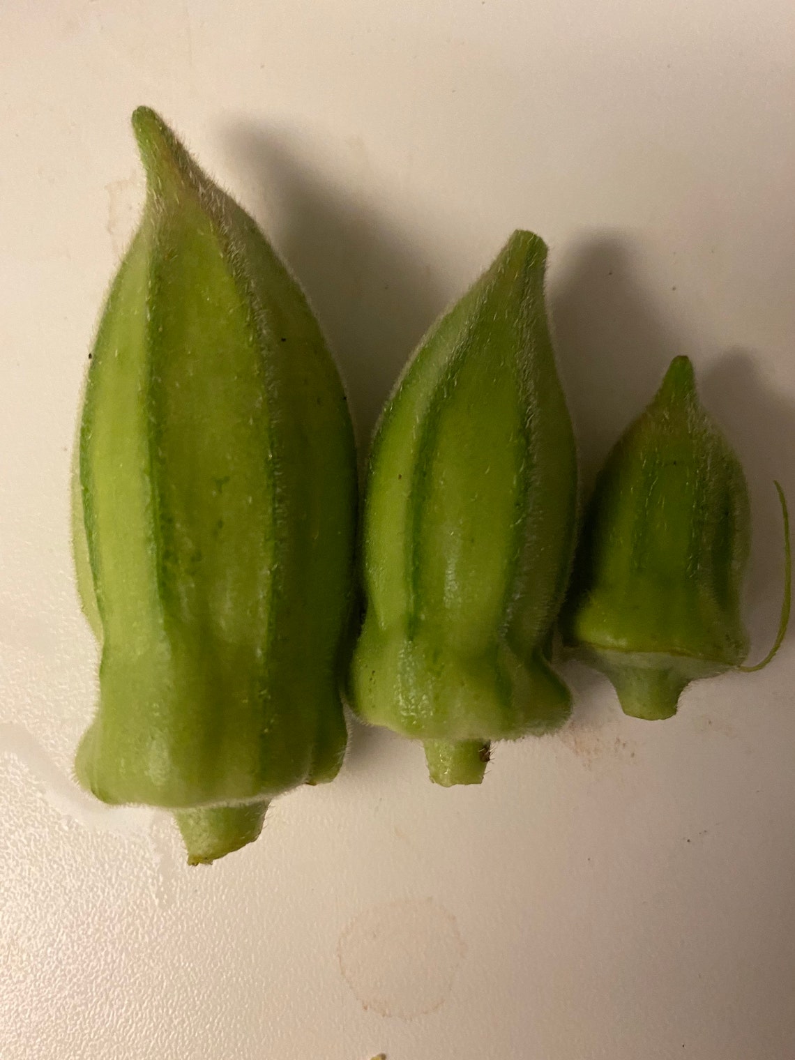 African Okra or Okro , Abelmoschus Esculentus, Authentic Ghana Okra, 15 ...