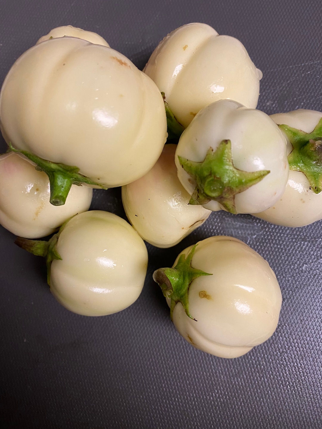 African Eggplant, Thai Eggplant Seeds - Etsy