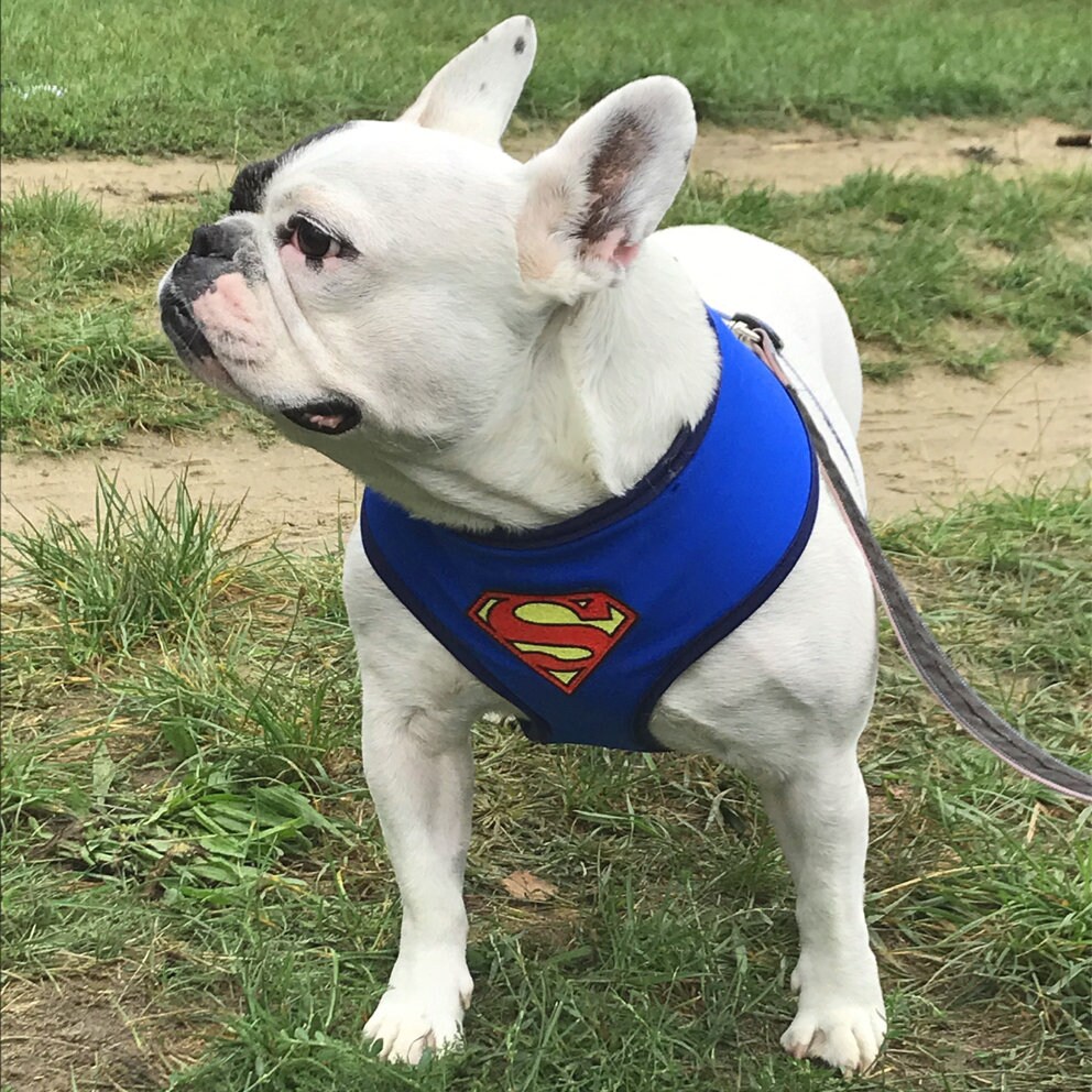 M Softsheel Braces para perro con patrón Softshel Superman | Etsy