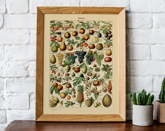 SOUTH AFRICA MAP 1880. Old Map Reprint. Linen Backed Folded - Etsy