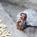 Coffee Wood Ring Brown Resin Ring Coffee Band Ring Copper - Etsy