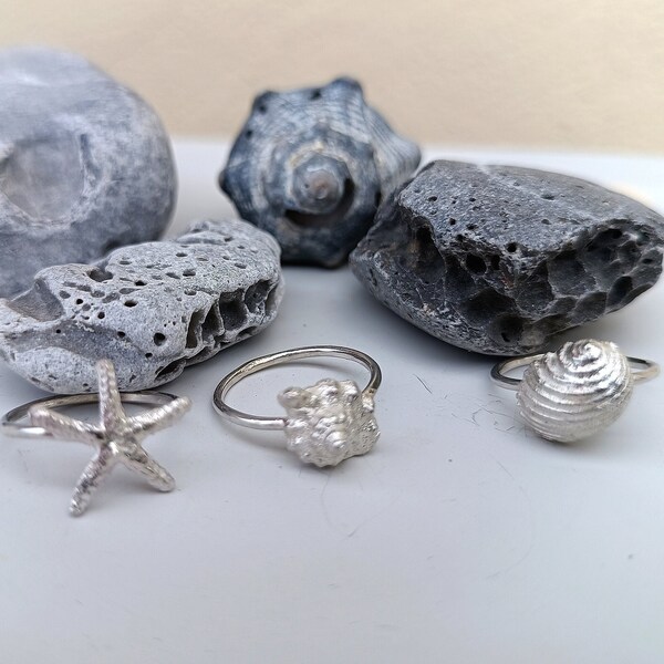 Silver Seashell Ring - Etsy