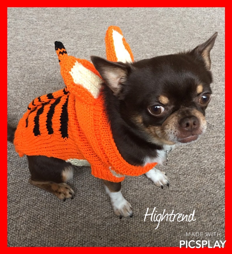Tigger Dog Outfit - Etsy UK