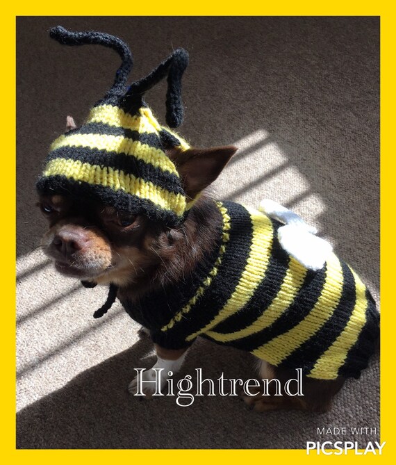 Bumblebee Dog Outfit - Etsy UK