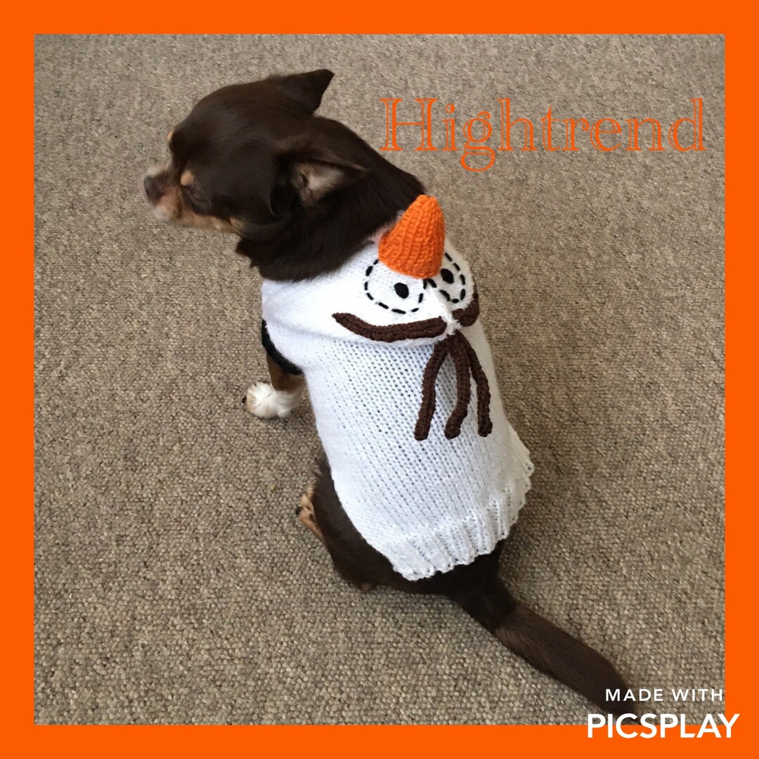 Snowman Olaf Dog Costume - Etsy