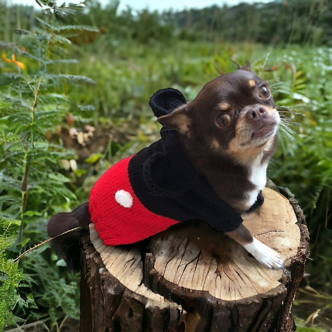 Dogs Mickey Mouse Costume - Etsy