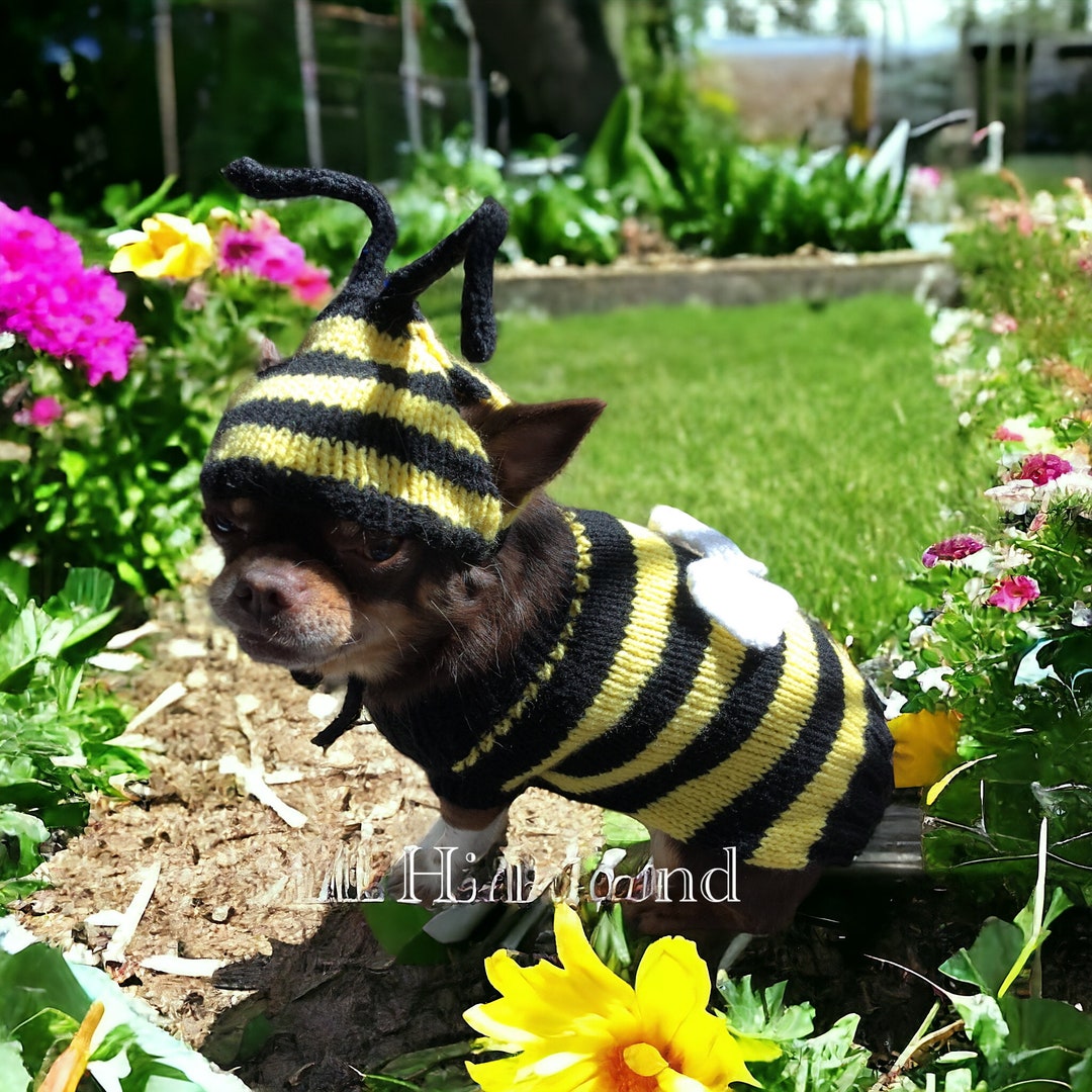 Bumblebee Dog Outfit - Etsy