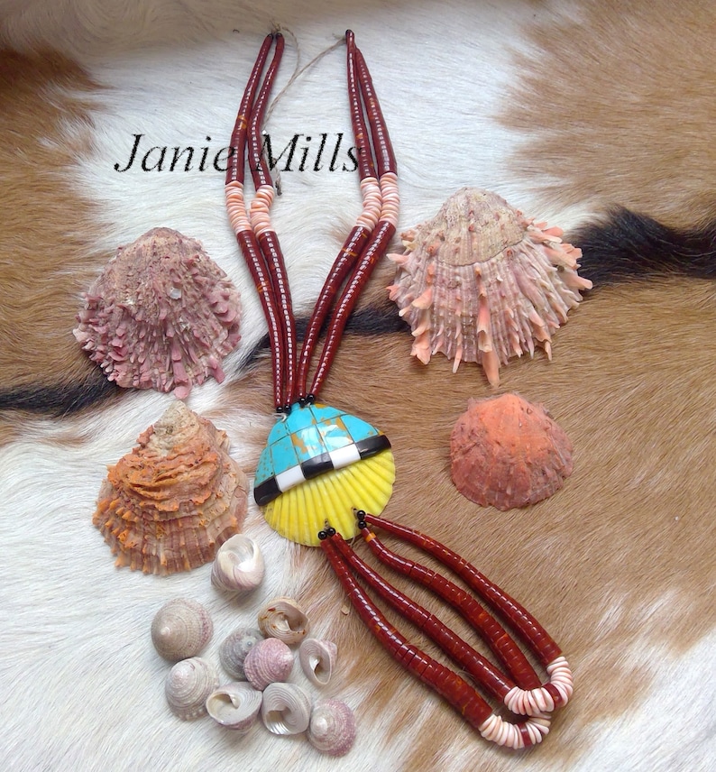 Spiny Oyster Orange Lions Paw Purple Shells - Etsy