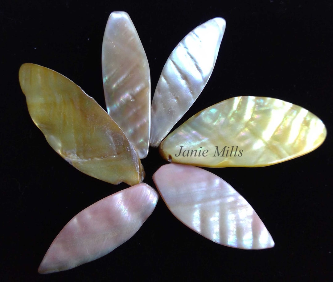 Shell Bead Leaf Shape Pkg of 4 - Etsy