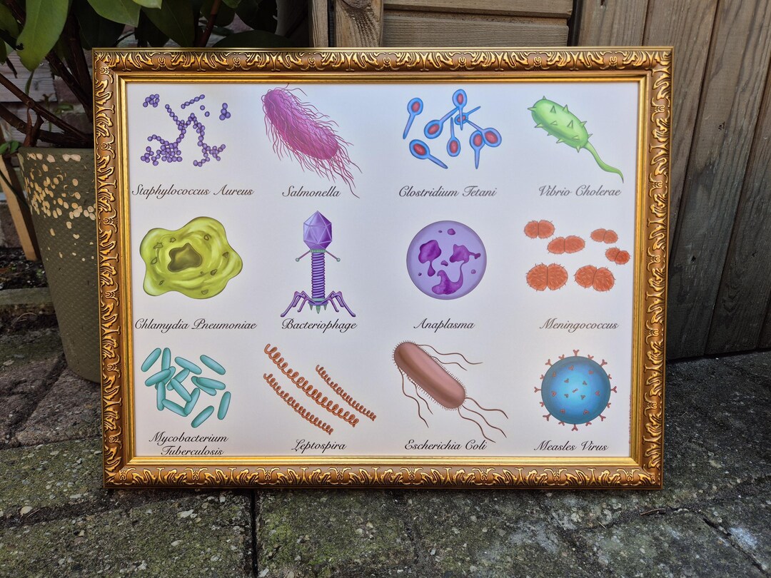 Colorful Bacteria Art Print Vol. 1 – Science Wall Art - Etsy