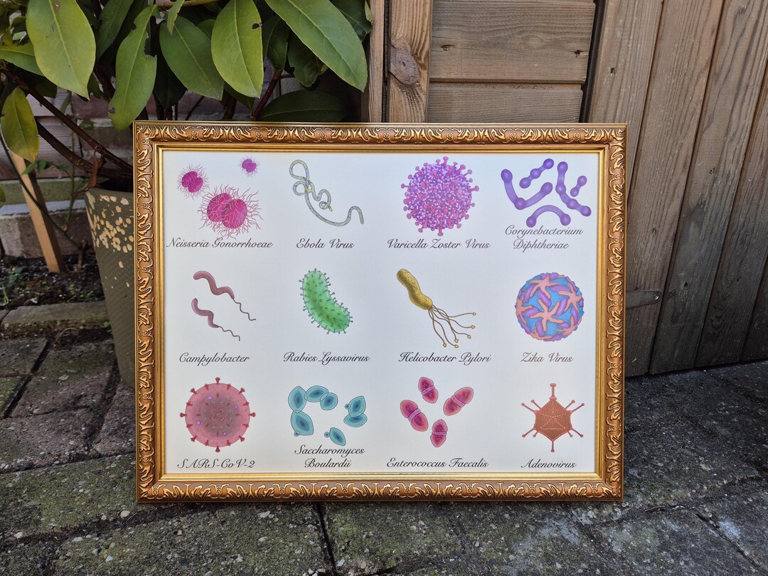 Colorful Bacteria Art Print Vol. 2 – Science Wall Art - Etsy