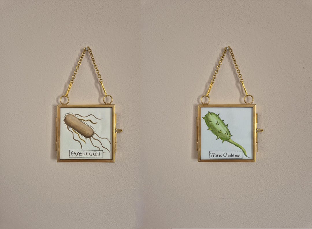 E. Coli + Vibrio Cholerae - Cute Microbiology Mini Framed Paintings - Etsy
