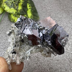 Quartz Galena Madan Bulgaria Natural Crystal Minerals Specimen Clusters ...