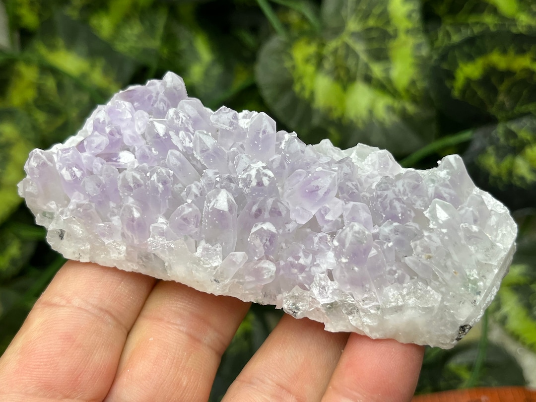 Amazing Amethyst Lacky Bulgaria Natural Crystal Minerals Specimen ...