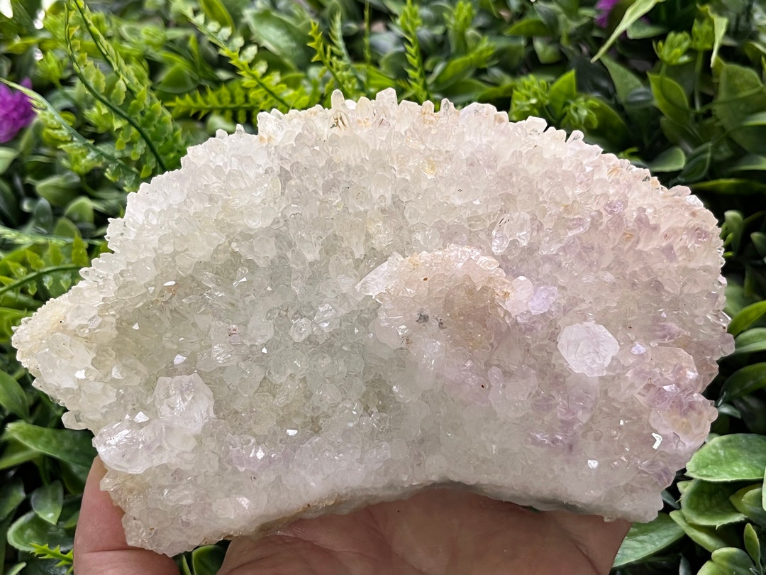 Amethyst Phantom Lacky Bulgaria Natural Crystal Minerals Specimen ...