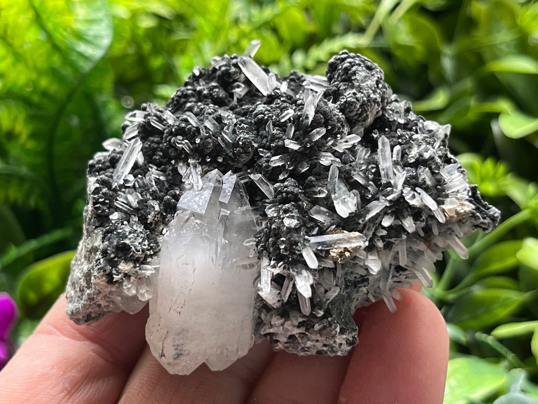 Quartz Chlorite Calcite Madan Bulgaria Natural Crystal Minerals ...