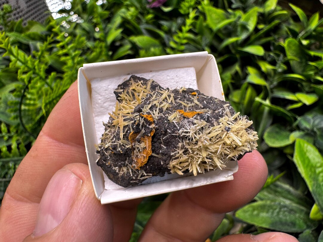 Pyromorphite on Goethite Limonite Specimen, Madjarovo Bulgaria Crystal ...