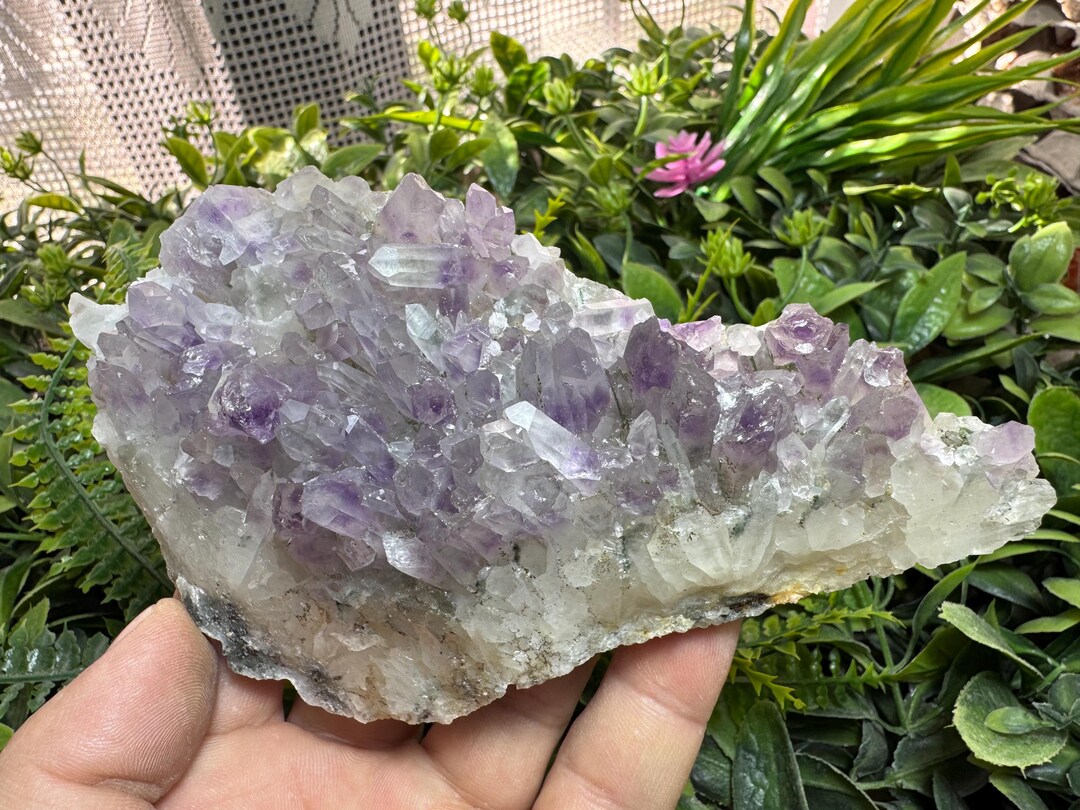 Amethyst Calcite Madan Bulgaria Natural Crystal Minerals Specimen ...