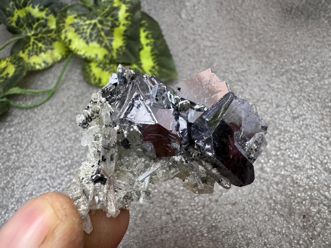 Quartz Galena Madan Bulgaria Natural Crystal Minerals Specimen Clusters ...