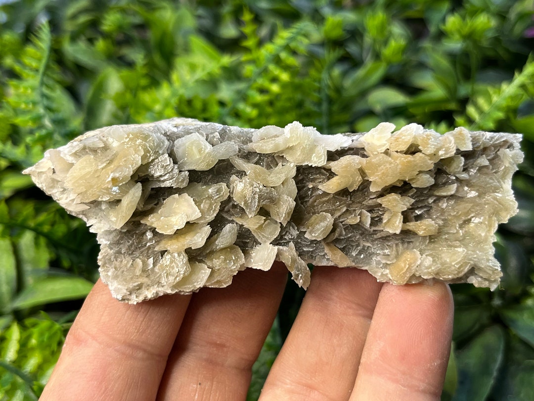 Calcite Chlorite Madan Bulgaria Natural Crystal Minerals Specimen ...