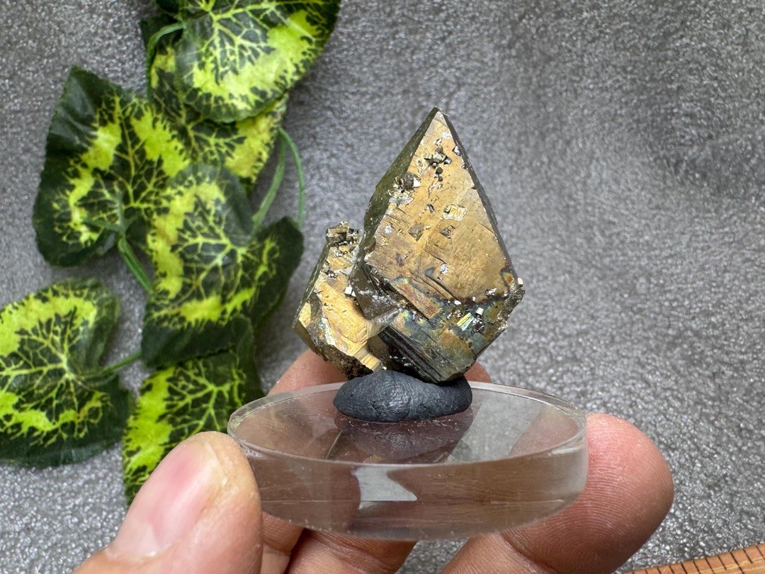 Pyrite Morphology Madan- Bulgaria Natural Crystal Minerals Specimen ...