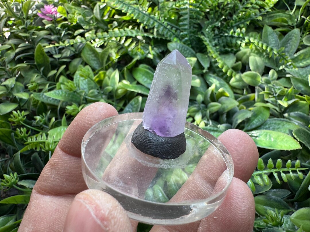 Amethyst Phantom Lacky Bulgaria Natural Crystal Minerals Specimen ...