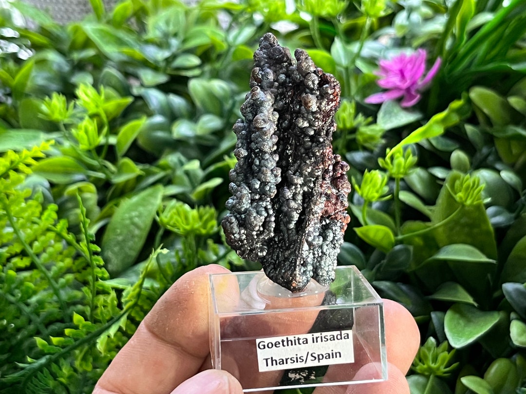 Iridescent Goethite Tharsis/spain Natural Crystal Minerals Specimen ...
