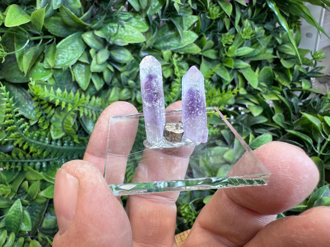 Amethyst Phantom Lacky Bulgaria Natural Crystal Minerals Specimen ...