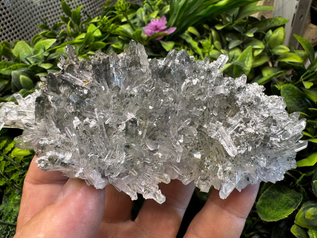 Quartz Chlorite Calcite Madan Bulgaria Natural Crystal Crystal Minerals ...