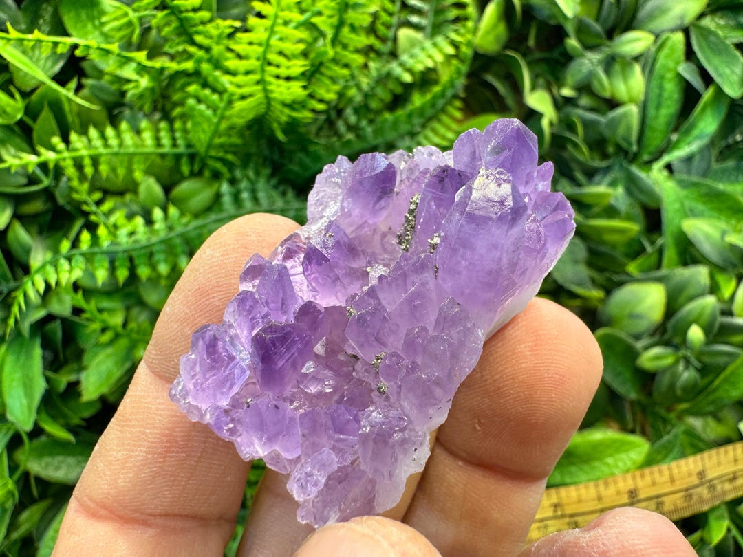Amethyst Pyrite Chalcopyrite Bulgaria Natural Crystal Minerals Specimen ...