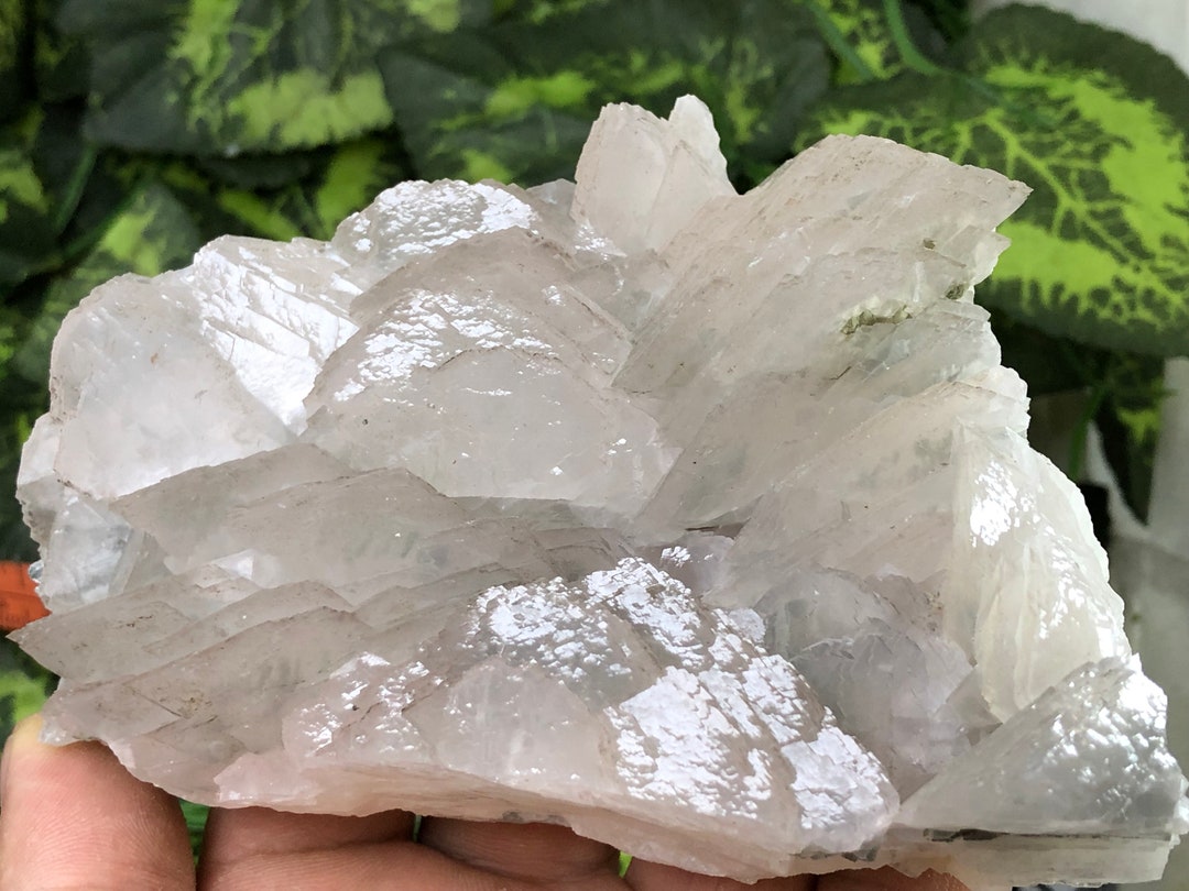 Calcite Fluorescent Included Chlorite Madan Bulgaria Natural Crystal ...