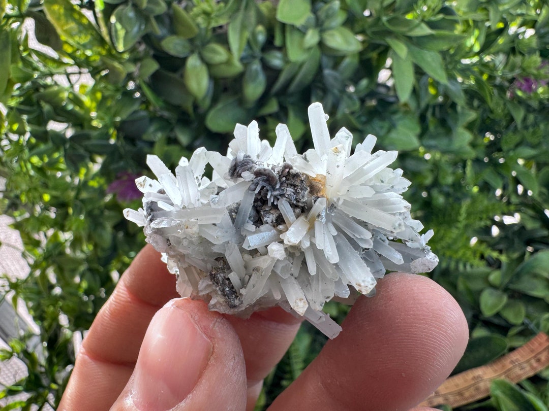 Quartz Calcite Chlorite Madan Bulgaria Natural Crystal Minerals ...