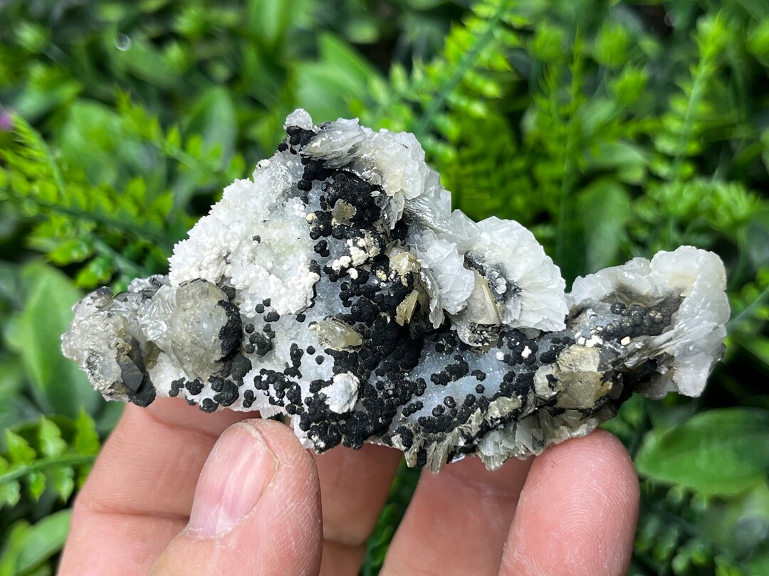Calcite (double Generations) Chlorite Lacky Bulgaria Natural Crystal ...