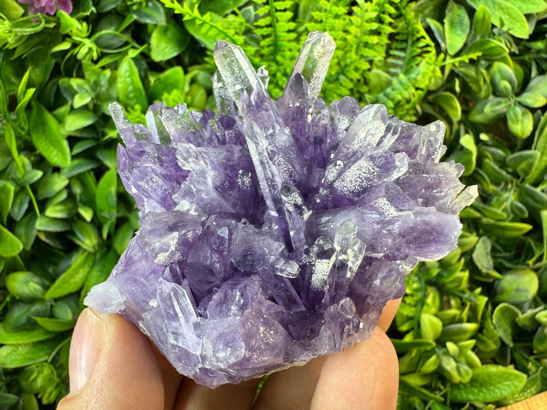 Amethyst Madan Bulgaria Natural Crystal Minerals Specimen Clusters ...