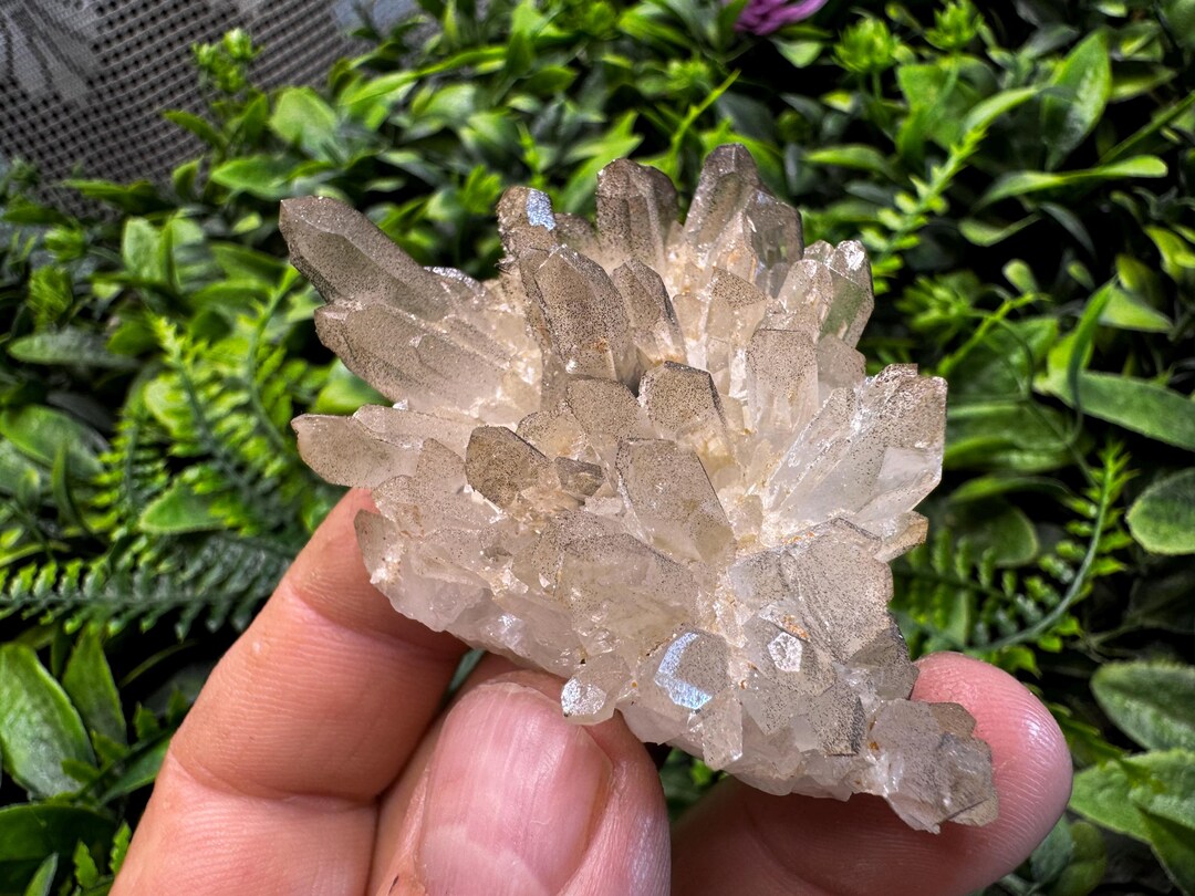 Amazing Quartz Limonite Madan Bulgaria Natural Crystal Minerals Specimen Clusters Souvenirs ...