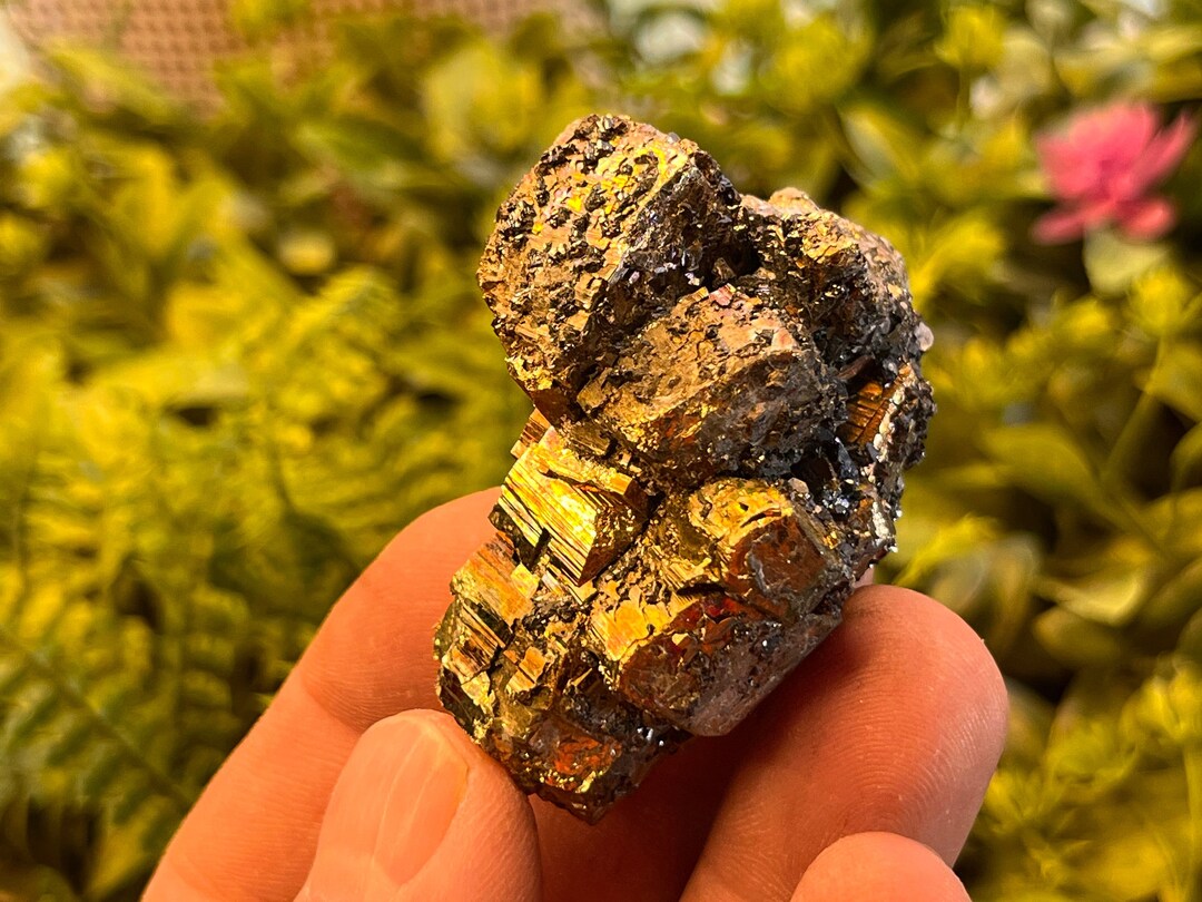 Amazing Pyrite Sphalerite Madan, Bulgaria - Etsy