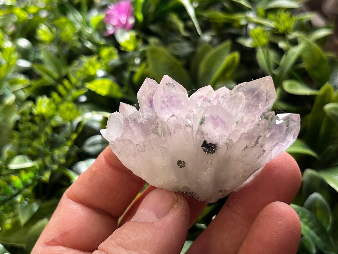 Amethyst Phantom Pyrite Bulgaria Natural Crystal Minerals Specimen - Etsy