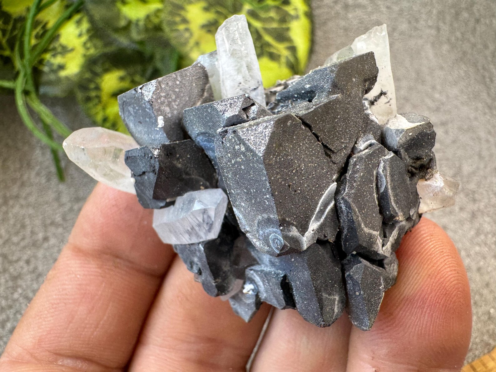 Quartz Galena Cluster, Madan Bulgaria Mineral Specimen, Home Decor - Etsy