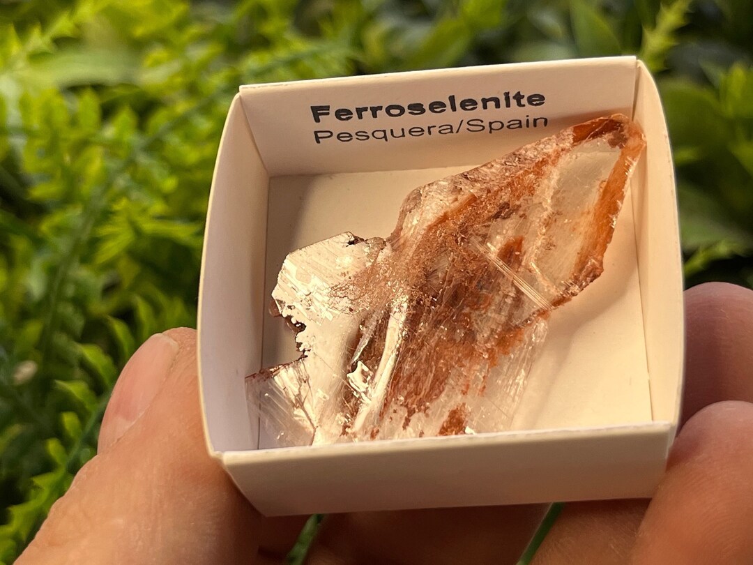 Ferroselenite Pesquera/spain Natural Crystal Minerals Specimen Clusters ...