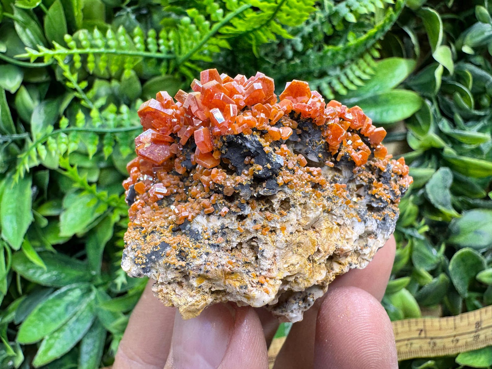 Vanadinite Barite Morocco Natural Crystal Minerals Specimen Clusters ...