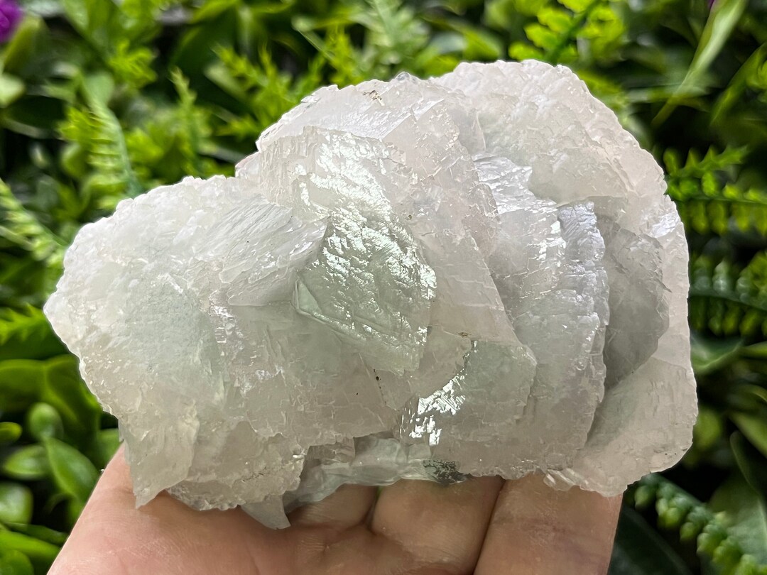 Calcite Fluorescent Chlorite Madan Bulgaria Natural Crystal Minerals ...
