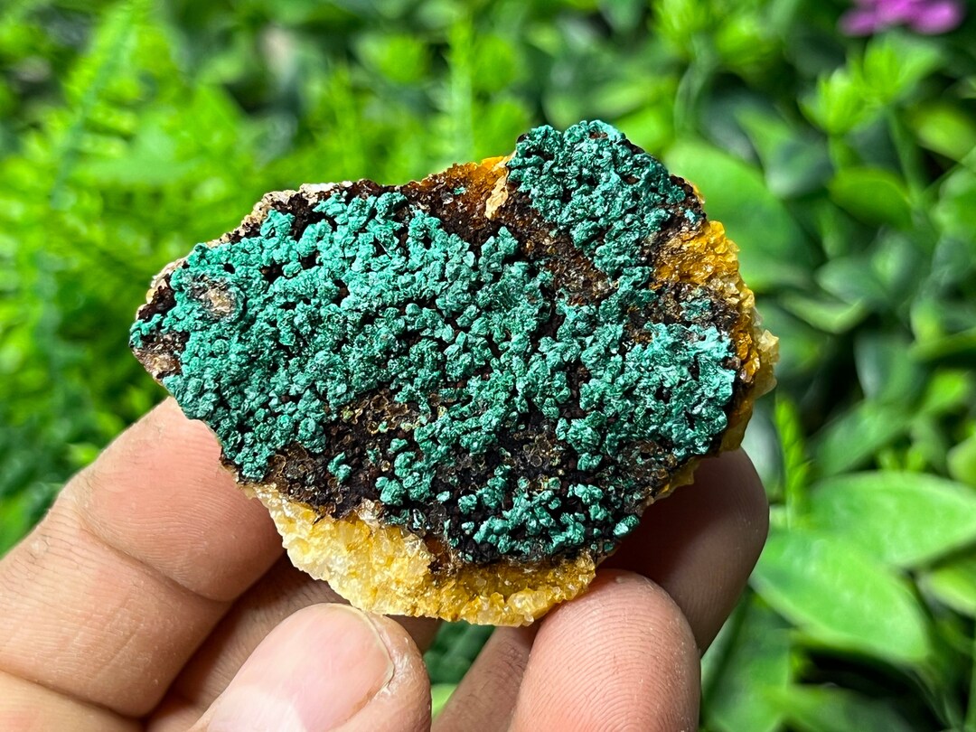 Malachite Morocco Natural Crystal Minerals Specimen Clusters Souvenirs ...